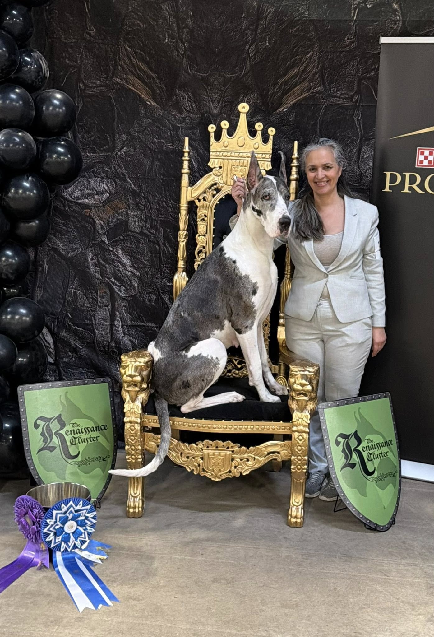 2026 Great Dane Specialty Show — Mike Arnold Perpetual Trophy | Lake ...